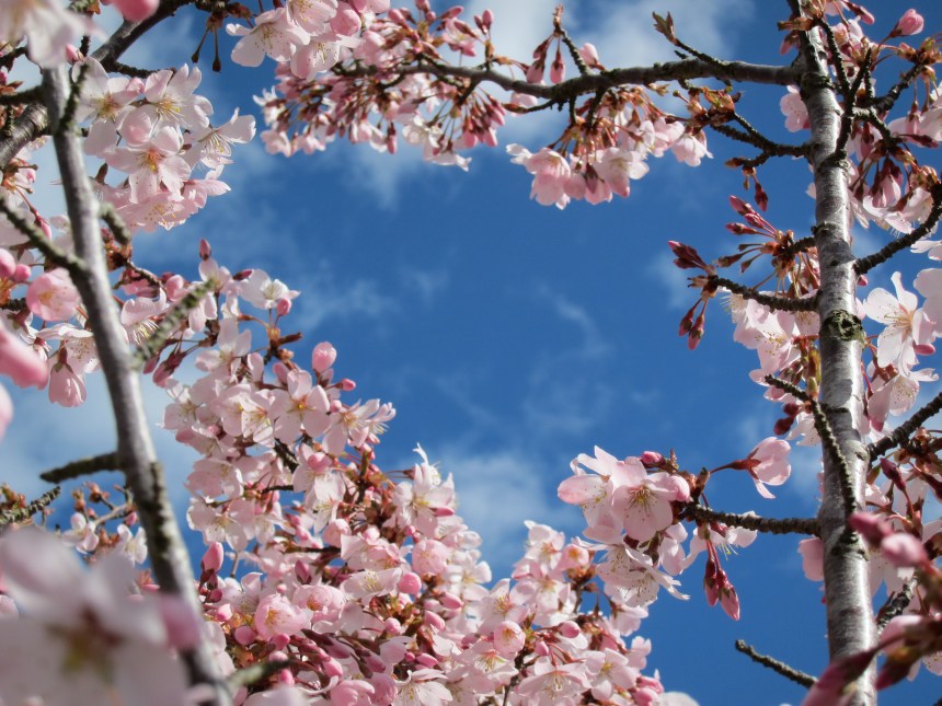 Radio | Cathy FitzGerald