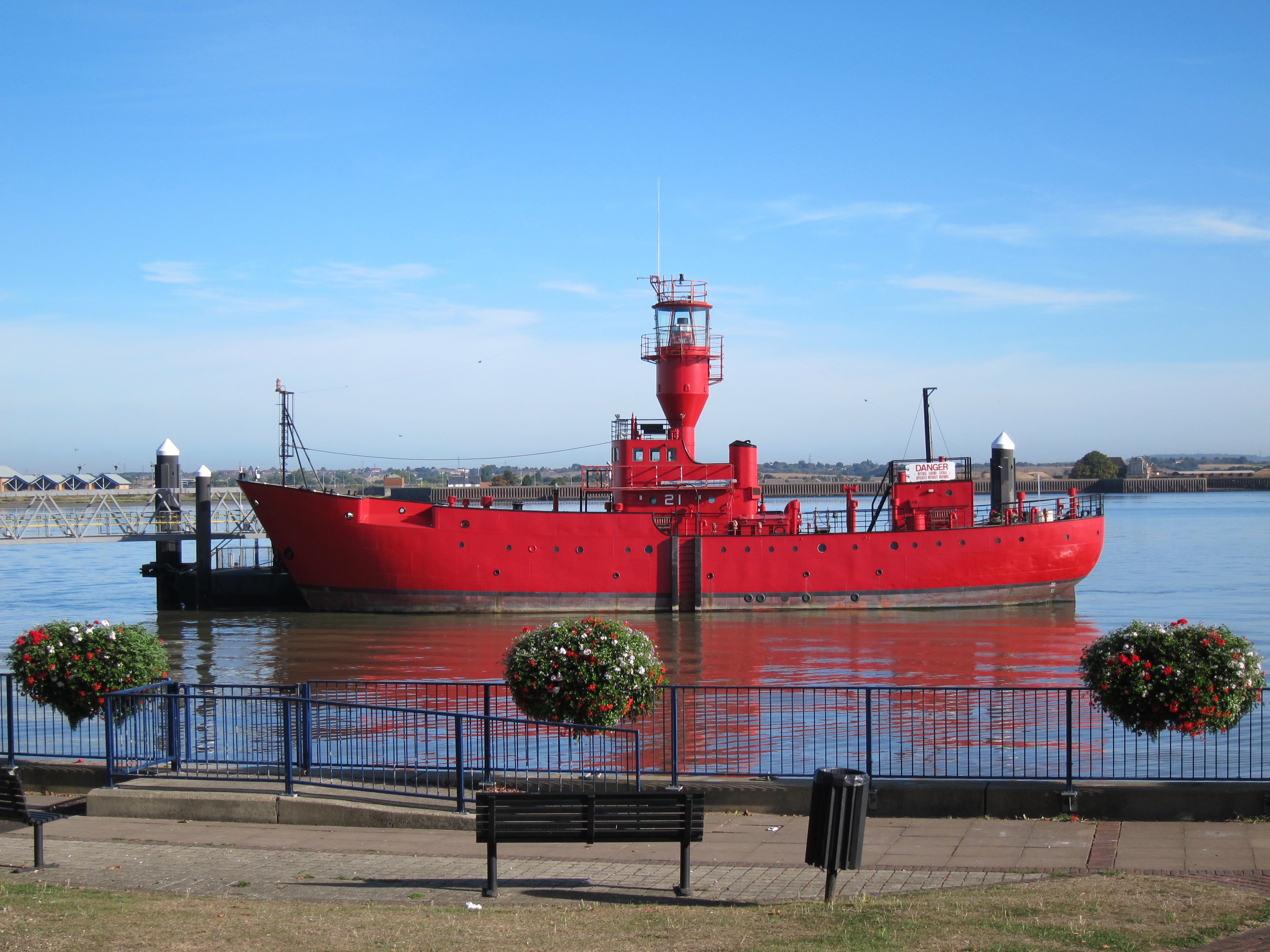 Radio | Cathy FitzGerald